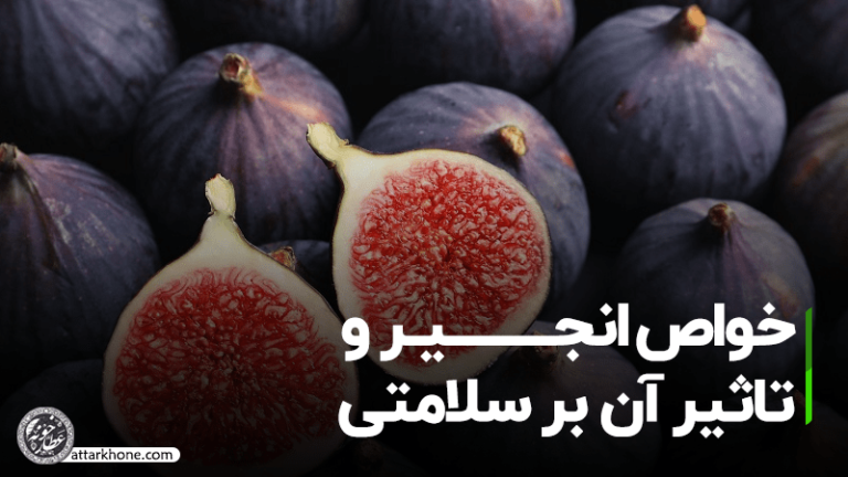 خواص انجیر و تاثیر آن بر سلامتی - عطارخونه